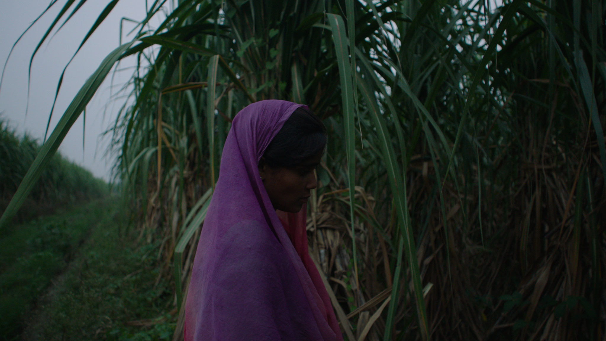 The AFI DOCS Interview: PERIOD. END OF SENTENCE. Director Rayka ...