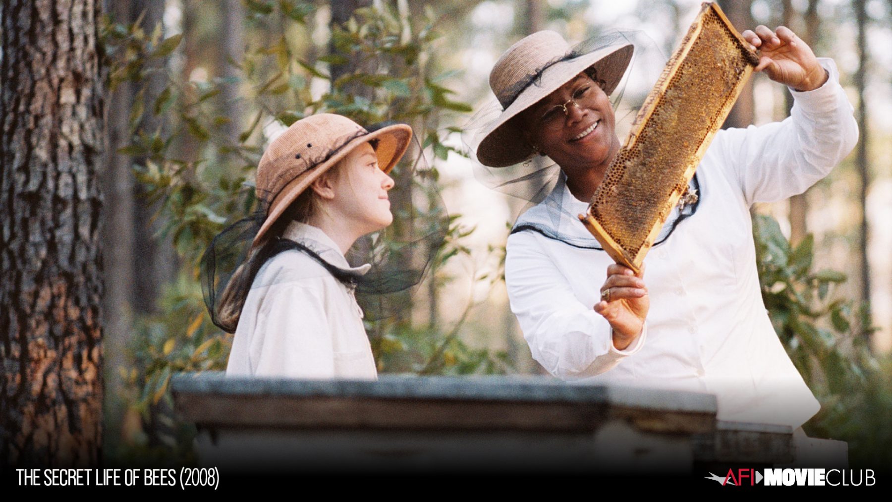 AFI Movie Club: THE SECRET LIFE OF BEES | American Film Institute