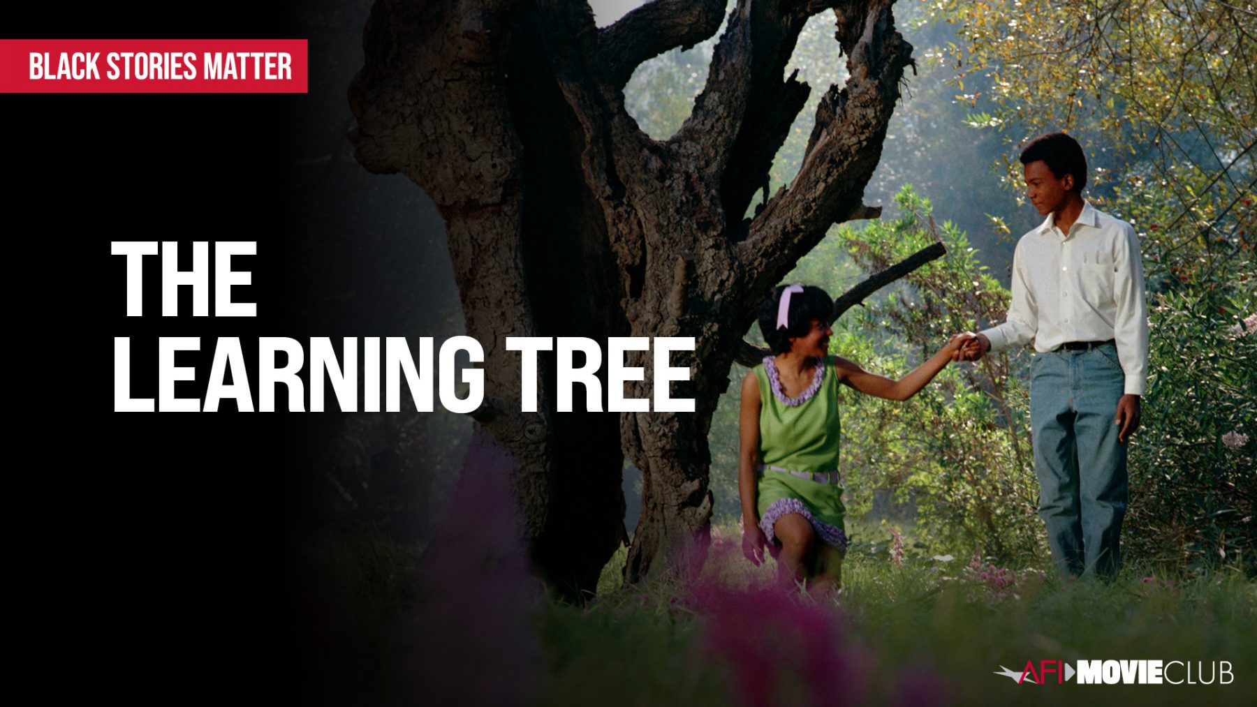 THE LEARNING TREE (1969) – AFI Movie Club | American Film Institute