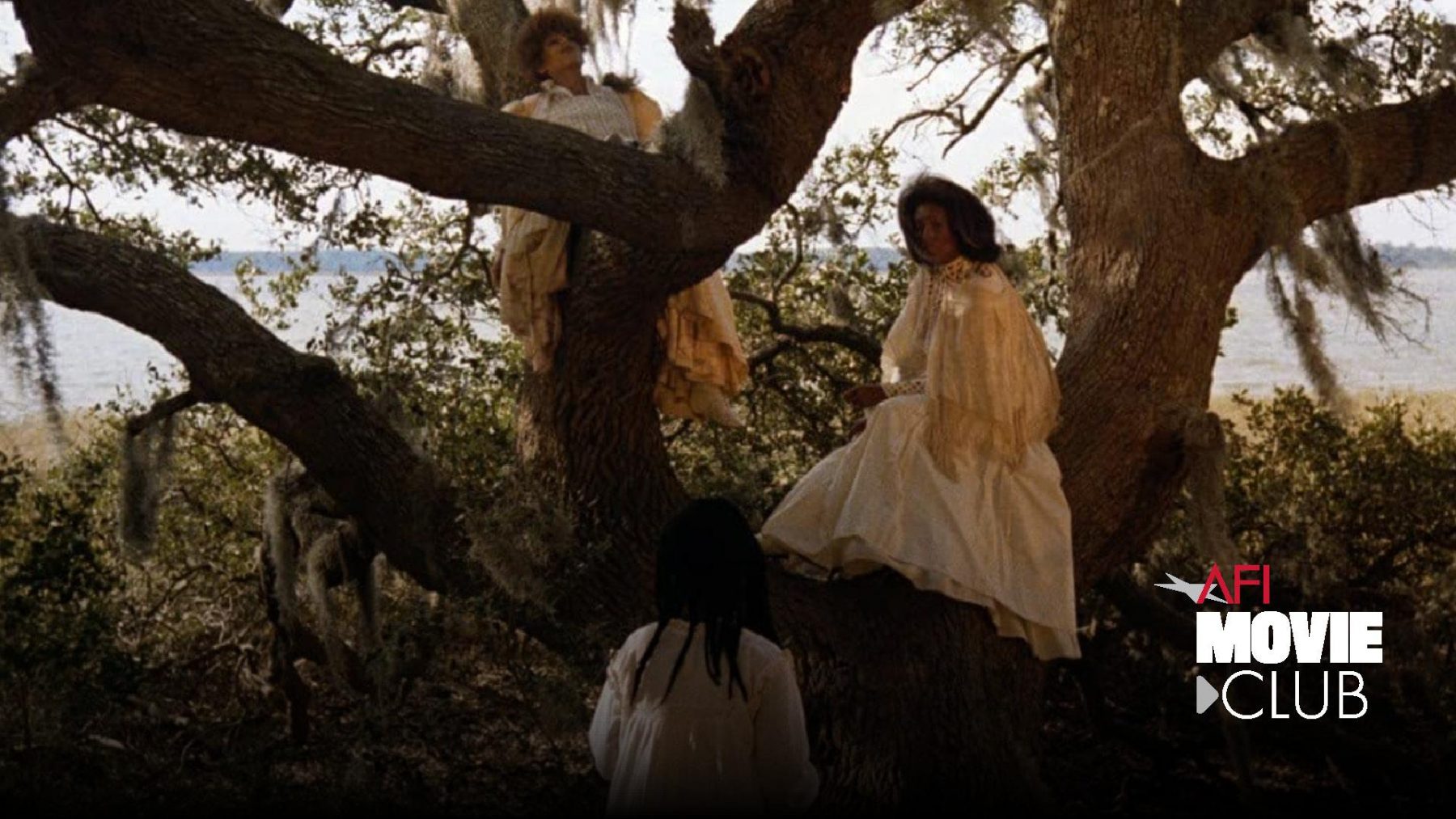 Black History Month Movie Guide | American Film Institute