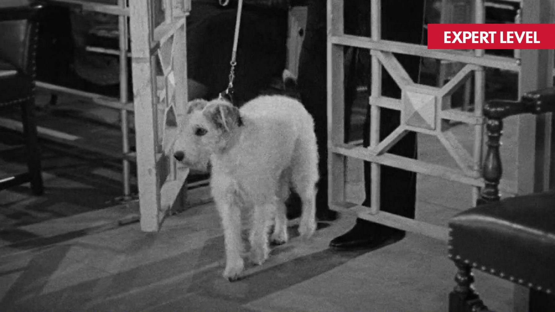 THE AWFUL TRUTH (1937) – AFI Movie Club | American Film Institute